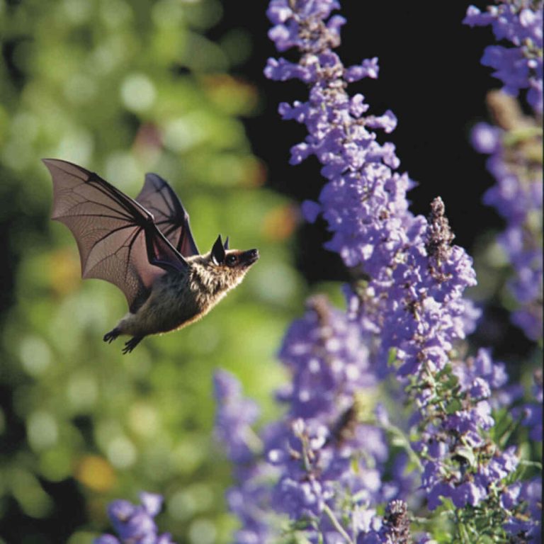 17 Simple Garden Ideas for Attracting Bats Tonight! - Bloomy Heaven