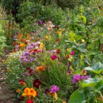 12 Edible Flower Garden Ideas for Cakes That Will Wow Your Guests