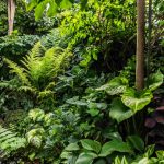 17 Simple Garden Ideas for Attracting Bats Tonight! - Bloomy Heaven