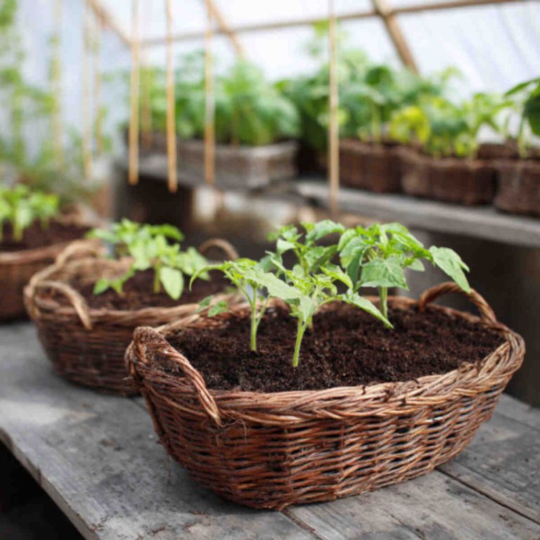 17 Creative Garden Ideas Using Laundry Baskets as Planters You’ll Love