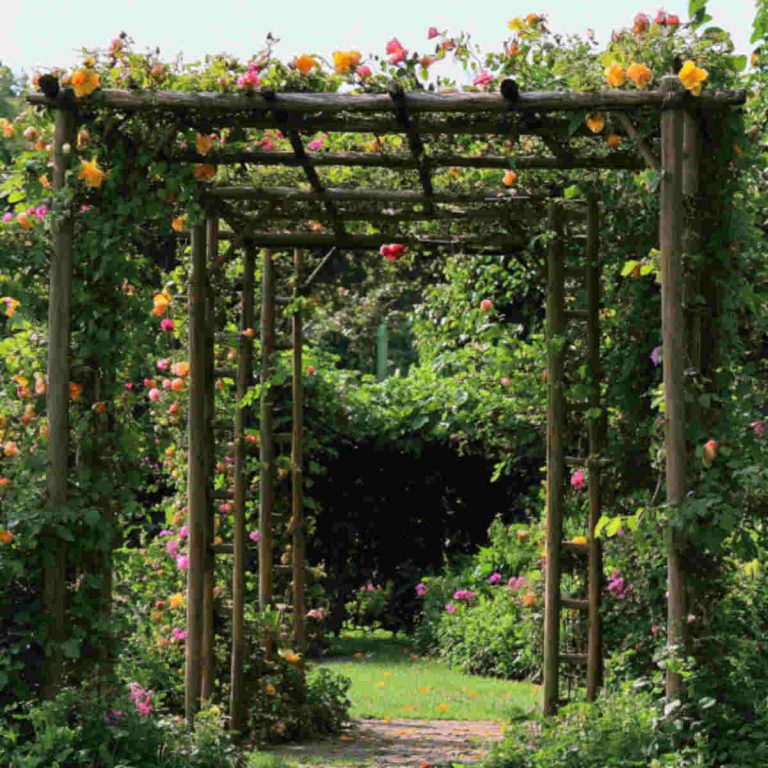 17 Simple Garden Ideas for Attracting Bats Tonight! - Bloomy Heaven