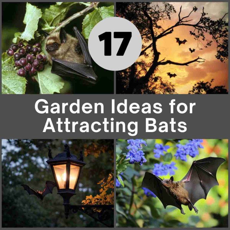 17 Simple Garden Ideas for Attracting Bats Tonight! - Bloomy Heaven