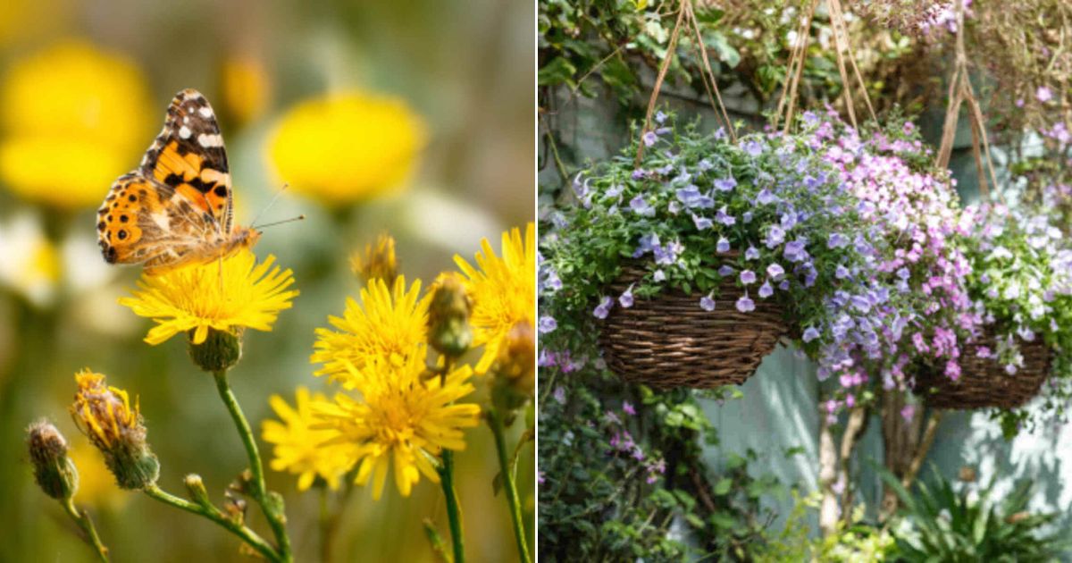 18 At-Home Pollination Boosting Garden Ideas