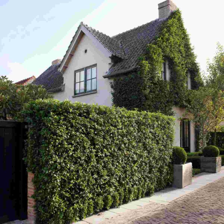 25 Wind-Resistant Garden Structures That Actually Work