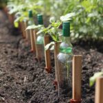 15 Brilliant Water Wick Systems to Keep Your Garden Thriving