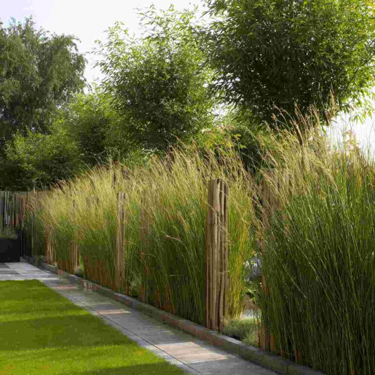 25 Wind-Resistant Garden Structures That Actually Work