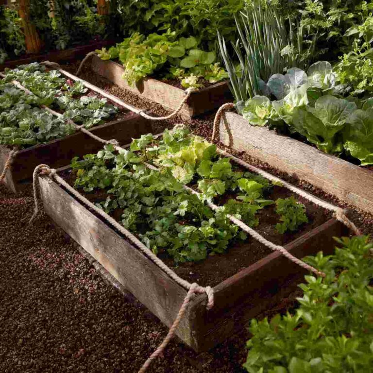 15 Brilliant Water Wick Systems to Keep Your Garden Thriving