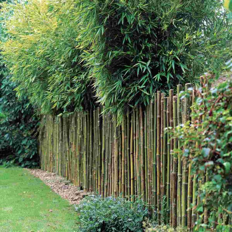 25 Wind-Resistant Garden Structures That Actually Work