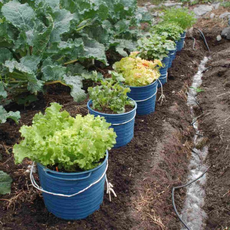 15 Brilliant Water Wick Systems to Keep Your Garden Thriving