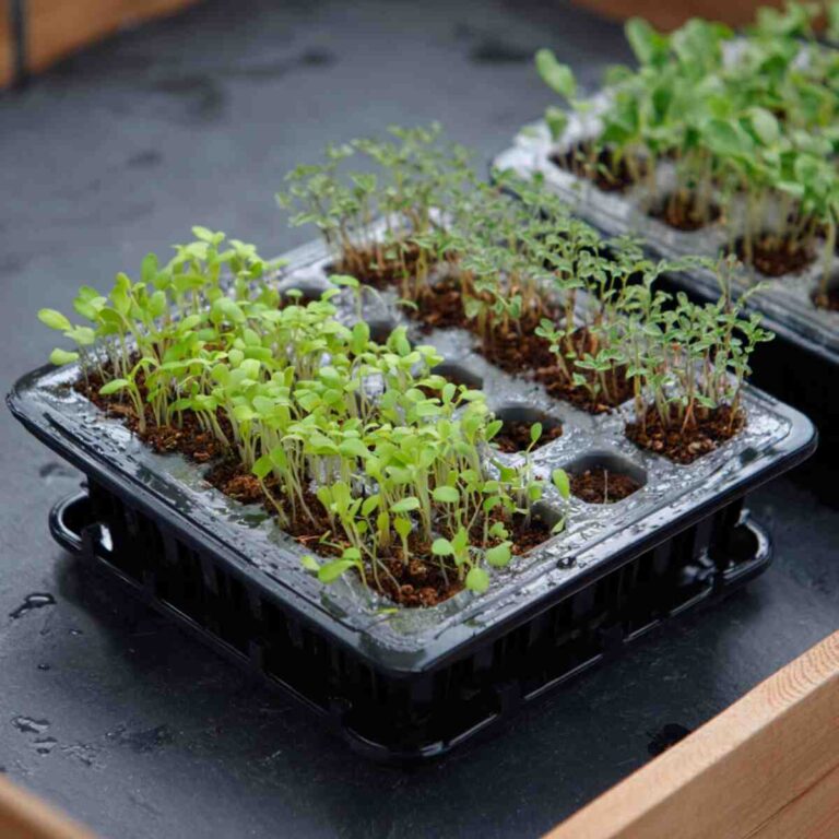 15 Brilliant Water Wick Systems to Keep Your Garden Thriving