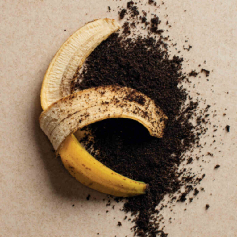 21 Brilliant Banana Peel Fertilizer Hacks Every Gardener Should Try
