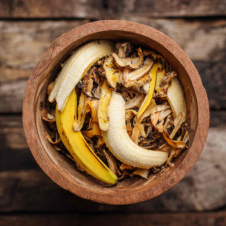 21 Brilliant Banana Peel Fertilizer Hacks Every Gardener Should Try