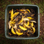 21 Brilliant Banana Peel Fertilizer Hacks Every Gardener Should Try