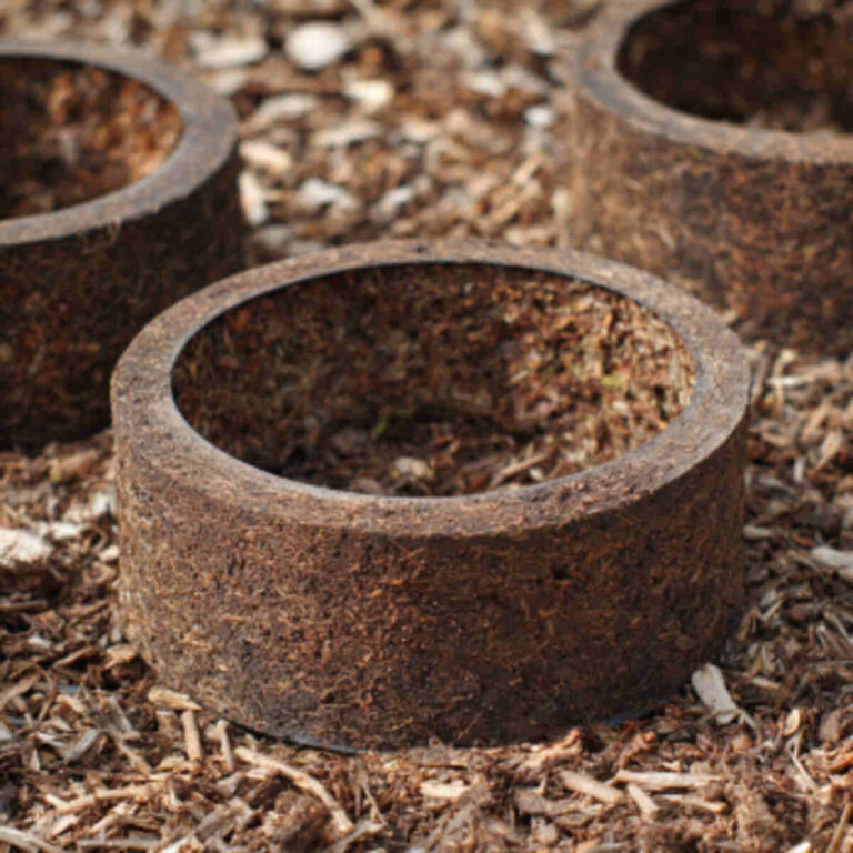 21 Brilliant Banana Peel Fertilizer Hacks Every Gardener Should Try