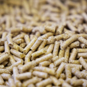 21 Brilliant Banana Peel Fertilizer Hacks Every Gardener Should Try