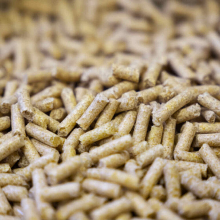 21 Brilliant Banana Peel Fertilizer Hacks Every Gardener Should Try