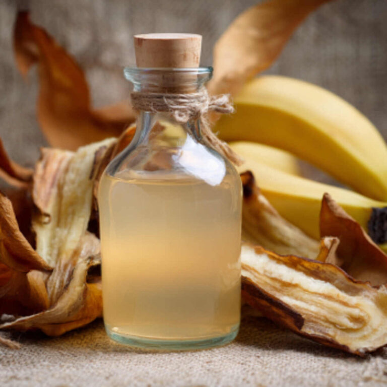 21 Brilliant Banana Peel Fertilizer Hacks Every Gardener Should Try