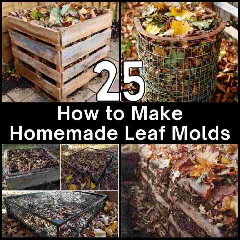 25 Clever Leaf Mold Hacks Every Gardener Should Know