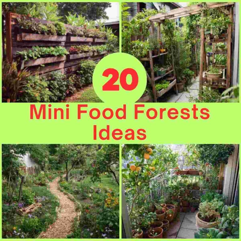 20 Mini Food Forest Ideas That Turn Tiny Yards Into Edible Paradises