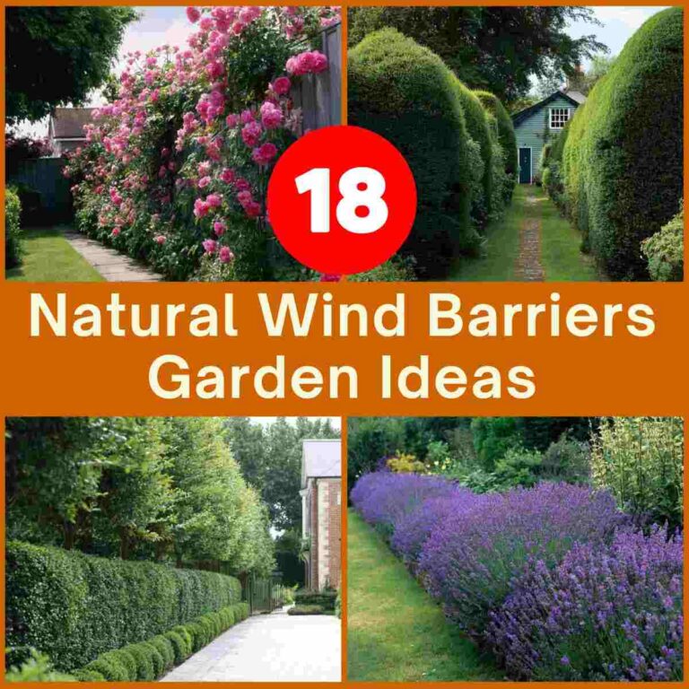 18 Stunning Natural Wind Barriers Garden Ideas to Protect Your Outdoor ...