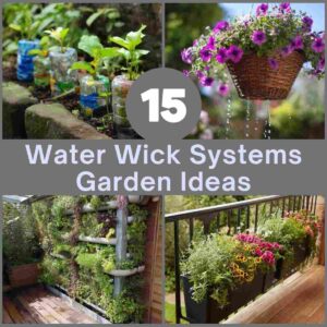 15 Brilliant Water Wick Systems to Keep Your Garden Thriving