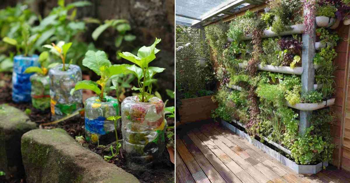 15 Brilliant Water Wick Systems to Keep Your Garden Thriving