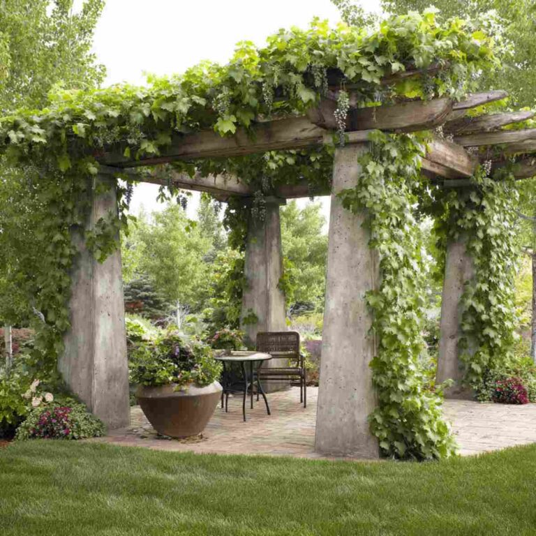 15 Easy and Beautiful Ground-Level Grape Arbor Ideas for Any Garden ...
