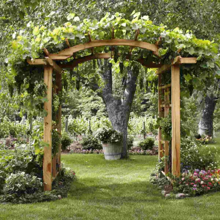 15 Easy and Beautiful Ground-Level Grape Arbor Ideas for Any Garden ...