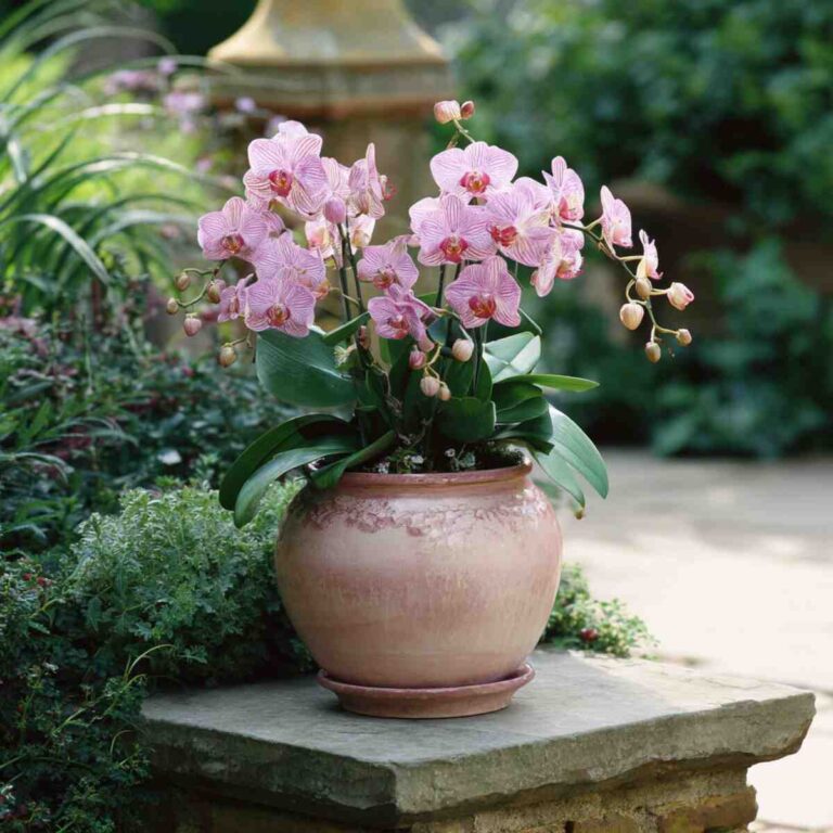 23 Beautiful Grave Flowers Garden Ideas for a Peaceful Tribute