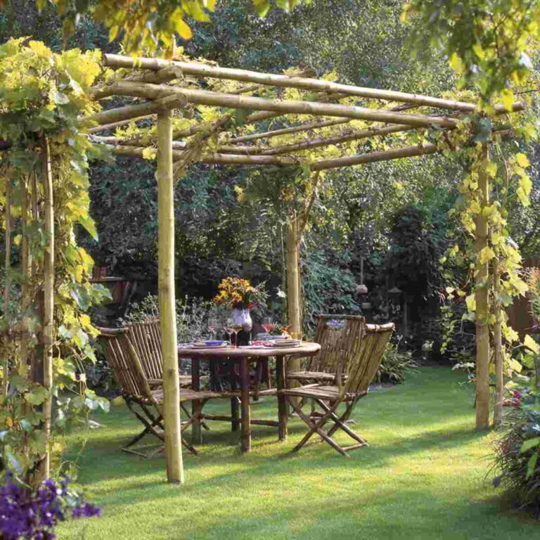 15 Easy and Beautiful Ground-Level Grape Arbor Ideas for Any Garden ...
