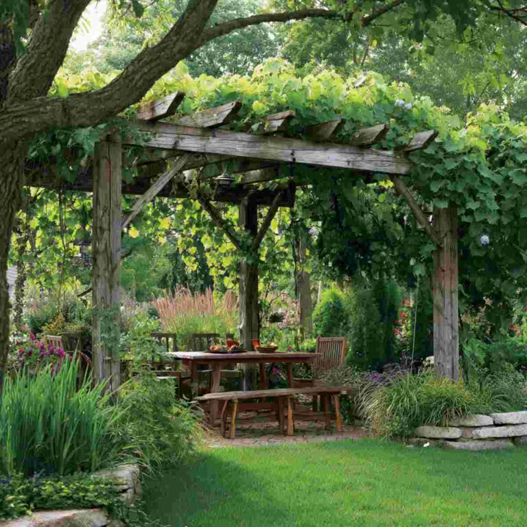 15 Easy and Beautiful Ground-Level Grape Arbor Ideas for Any Garden ...