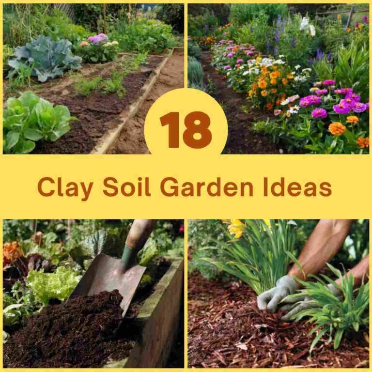 18 Clay Soil Garden Ideas That Actually Work