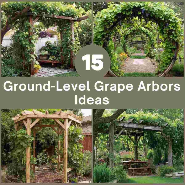 Home - Bloomy Heaven