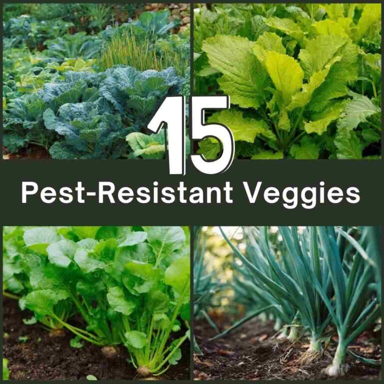 15 Pest-Resistant Veggies Every Gardener Should Grow