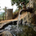 10 Smart Garden Ideas to Attract Snakes Naturally