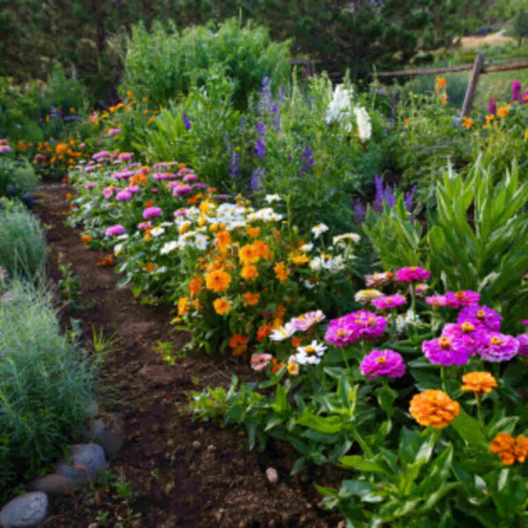 18 Clay Soil Garden Ideas That Actually Work