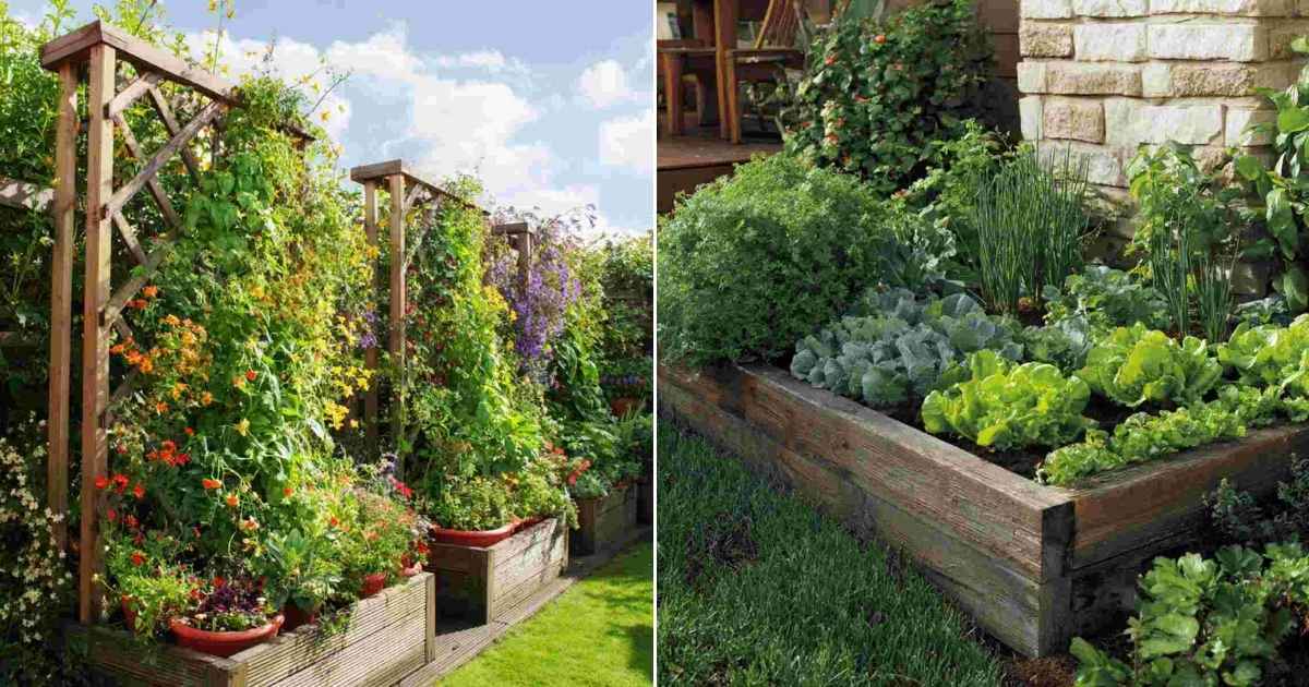 18 Easy Vegetable Garden Ideas for Spring Starters You’ll Want to Try