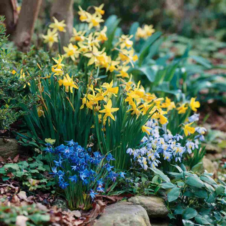 10 Bulb Layering in Flower Beds Ideas for Endless Spring Blooms