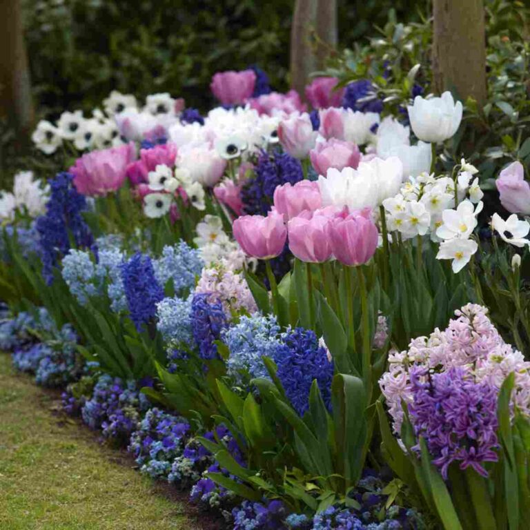 10 Bulb Layering in Flower Beds Ideas for Endless Spring Blooms