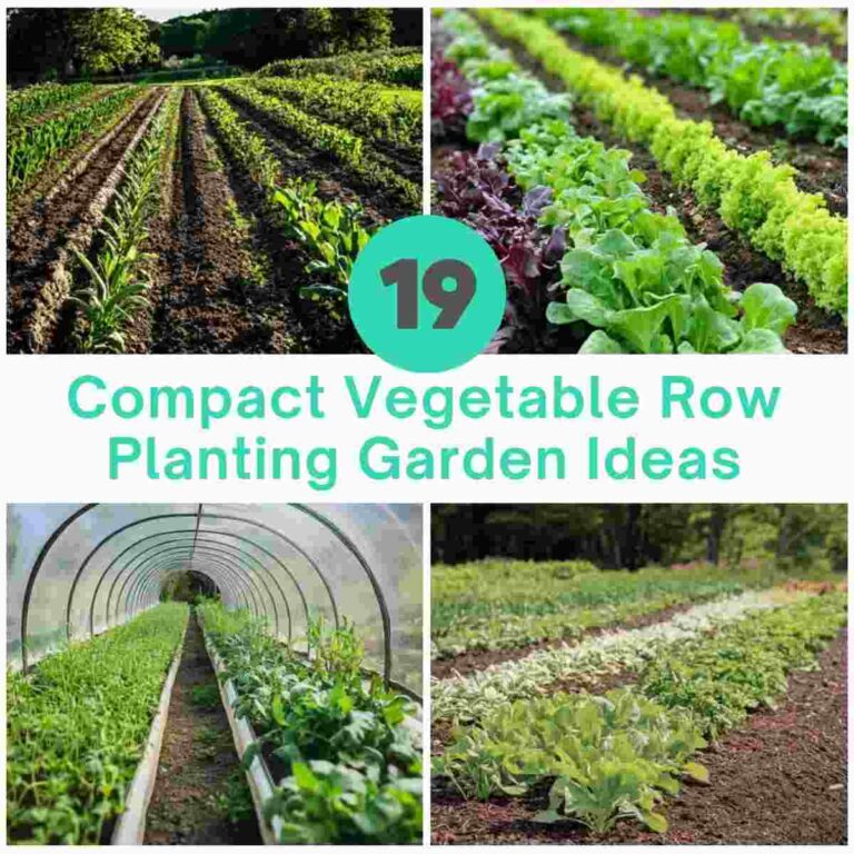 19 Compact Vegetable Row Planting Garden Ideas