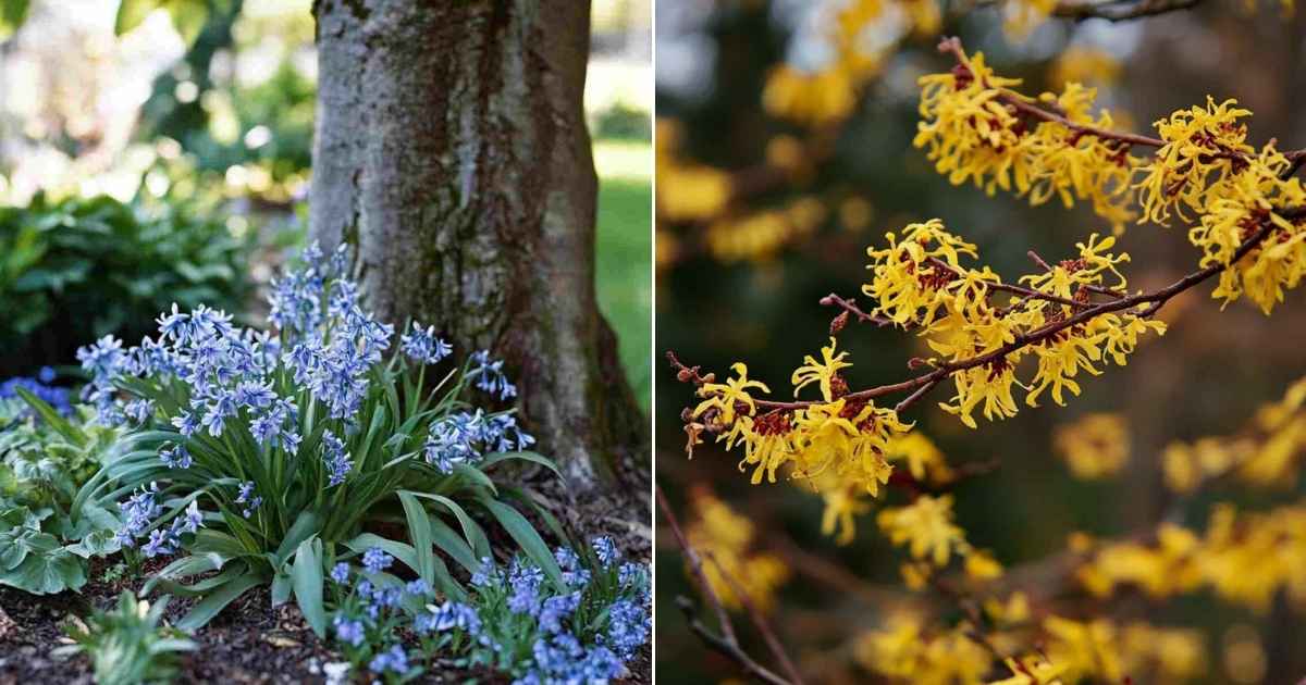 19 Early Spring Flowers That Bloom First in Your Garden